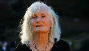 Blue Ridge Music Center | Bluegrass Music in Galax, Virginia